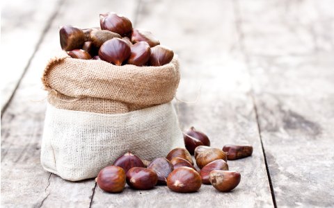 Tudo o que deve saber sobre as castanhas (são boas notícias)