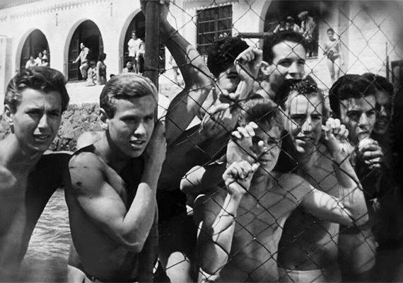 8 peças de teatro para ver até ao fim do ano - VITORIA GOMES Trazendo ...