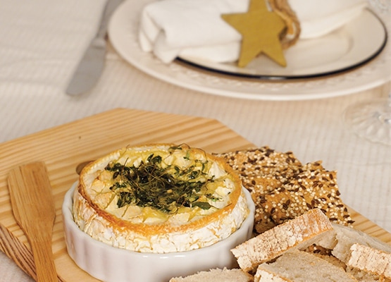 O que pode encontrar nas páginas da Saber Viver de dezembro (nas bancas ...